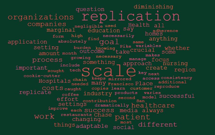 Replication Versus Scale – Novel Learning