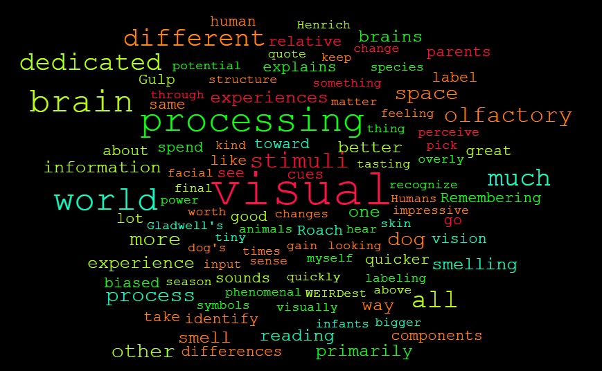 Visual Versus Olfactory – Novel Learning
